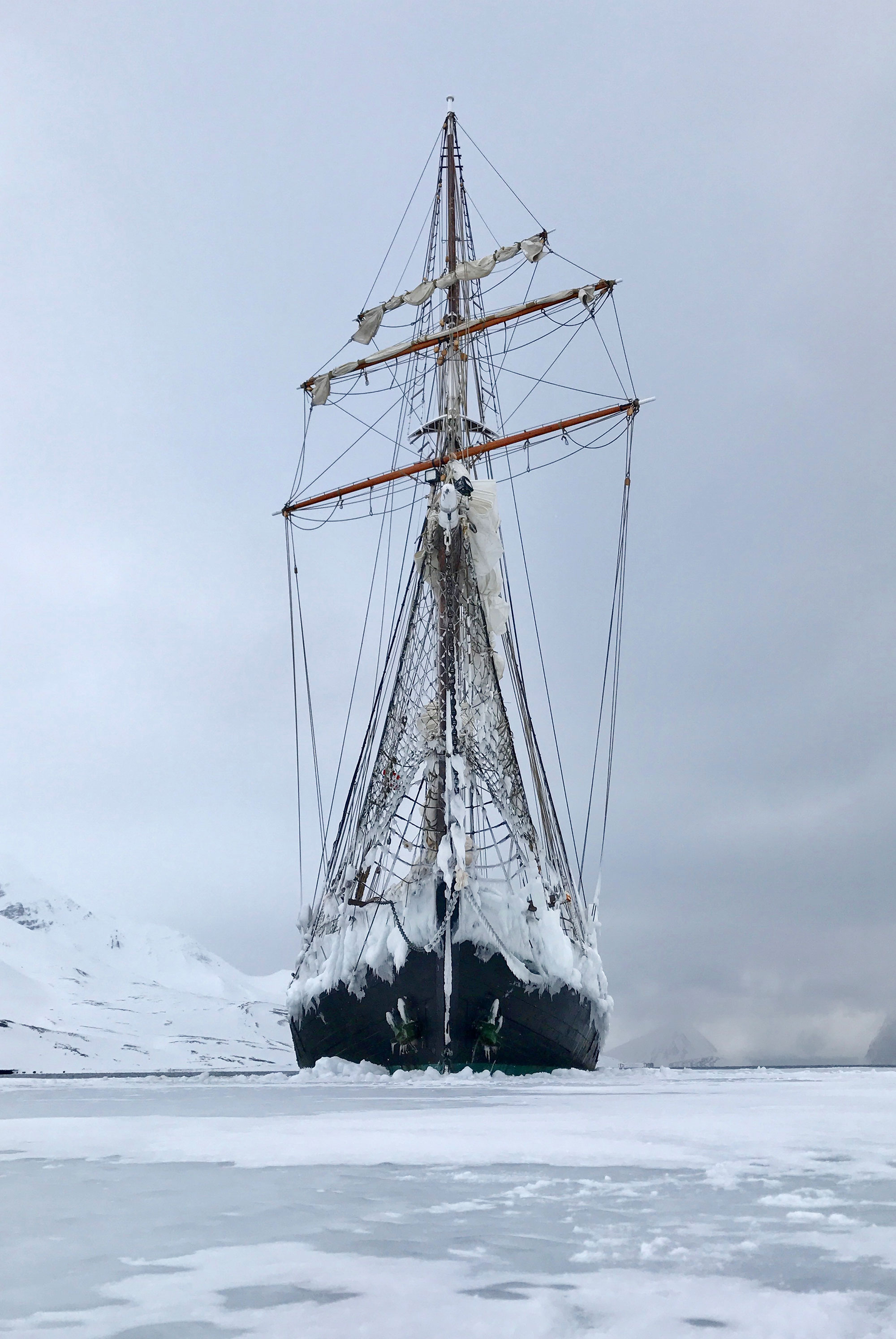 Schooners Hurricane Opal