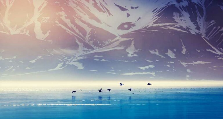 The First Hope Spot in Iceland - Ocean Missions