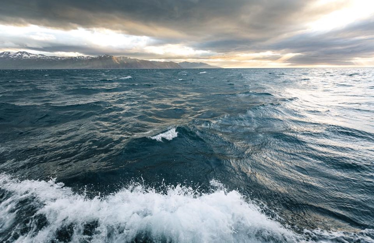 Marine protection - HOPE SPOT - Ocean Missions