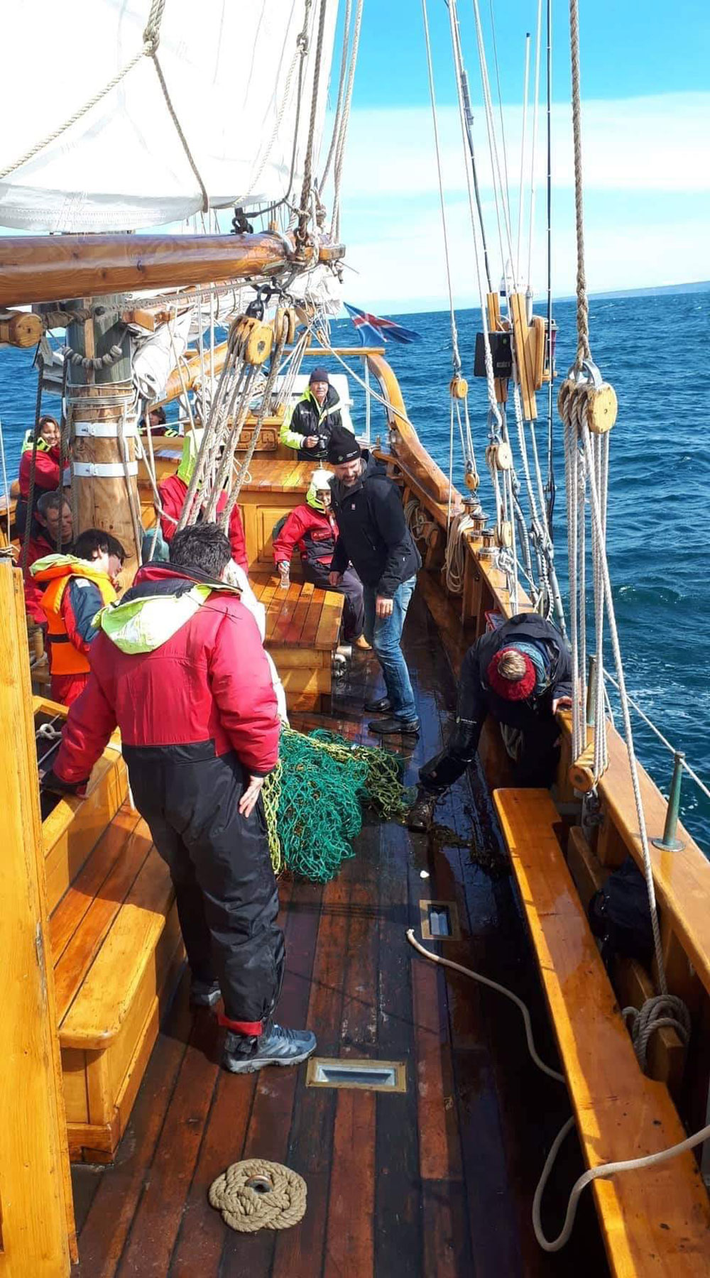 Action –Reaction: The Net Rescue mini story - Ocean Missions