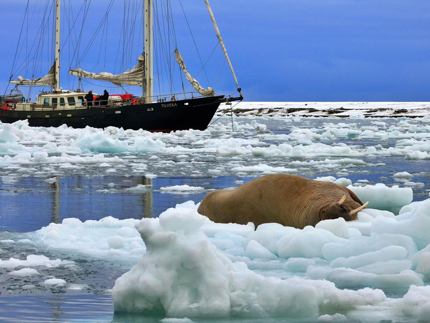 May 2024 - Ocean Missions